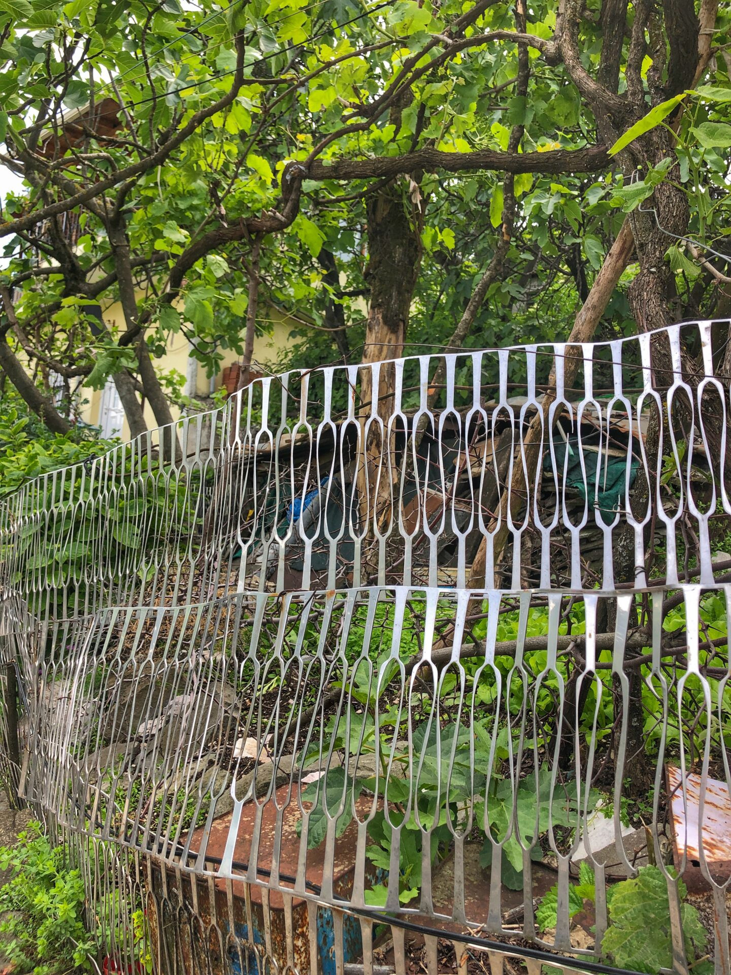 Untapped Albania: Gjirokastër & Përmet (Days 1-4) - Explorer Genes