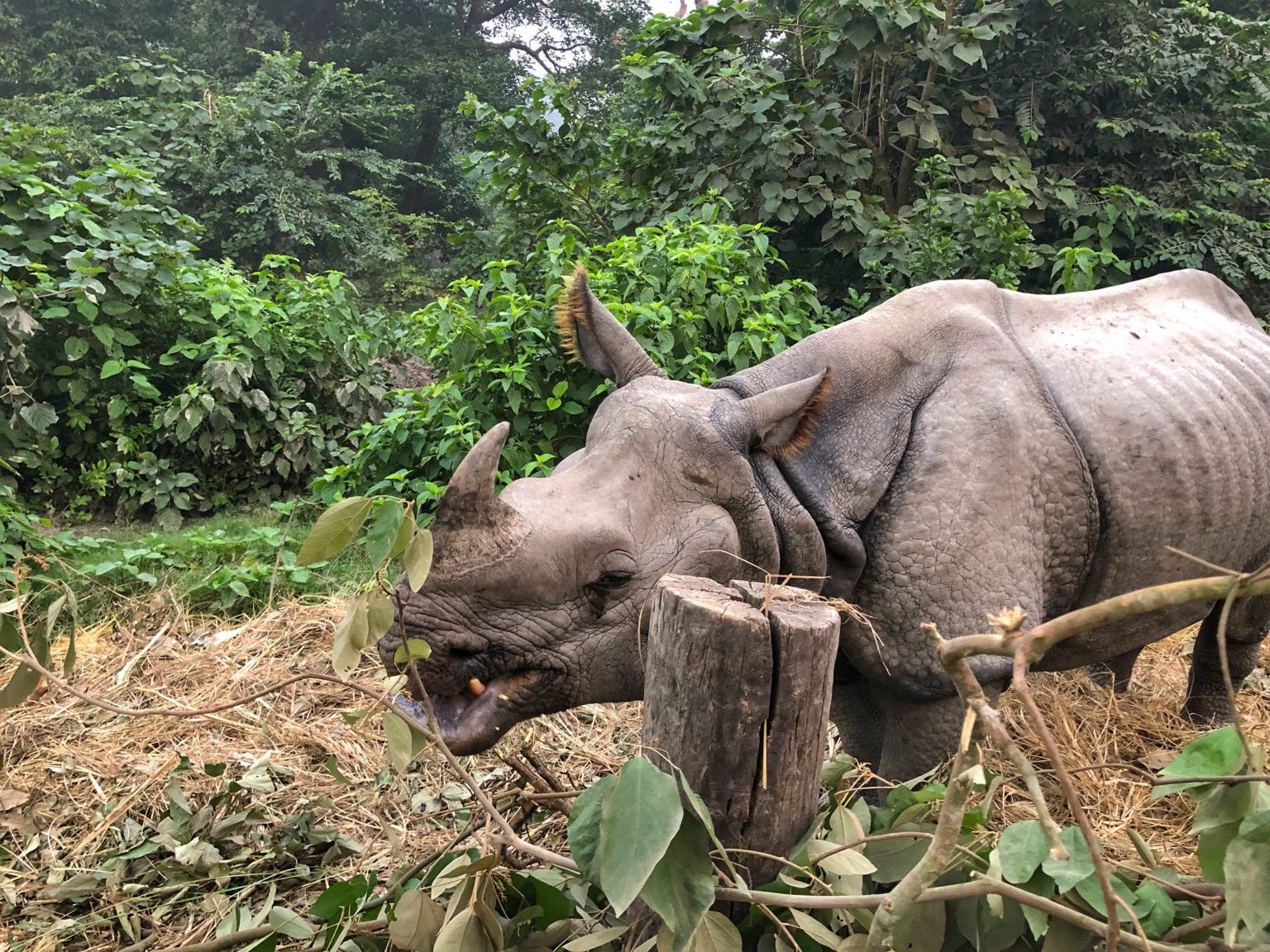 Southern Nepal: The Waiting Game - Explorer Genes