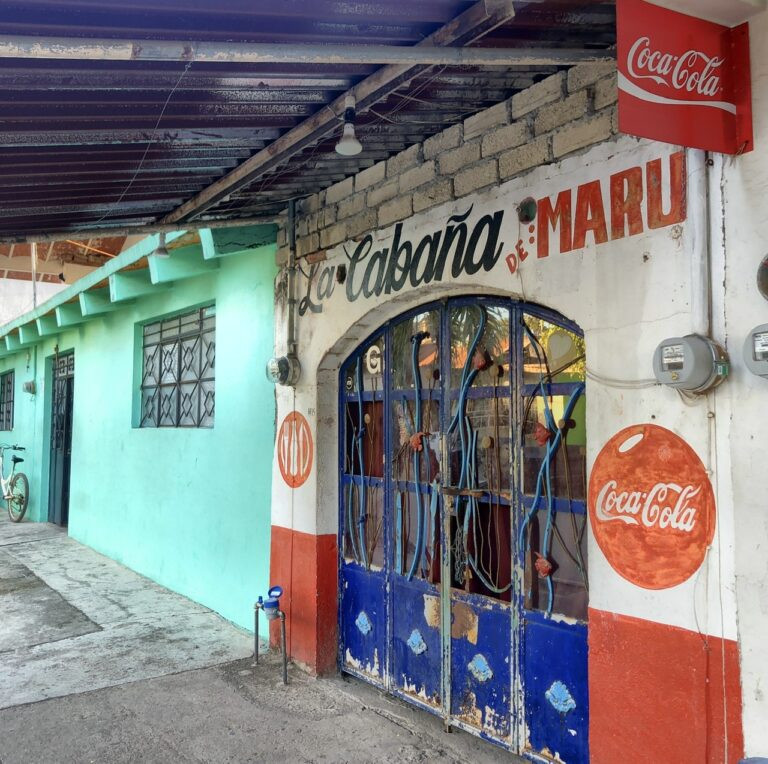 An Unexpected Paradise in Lo De Marcos, Mexico - Explorer Genes