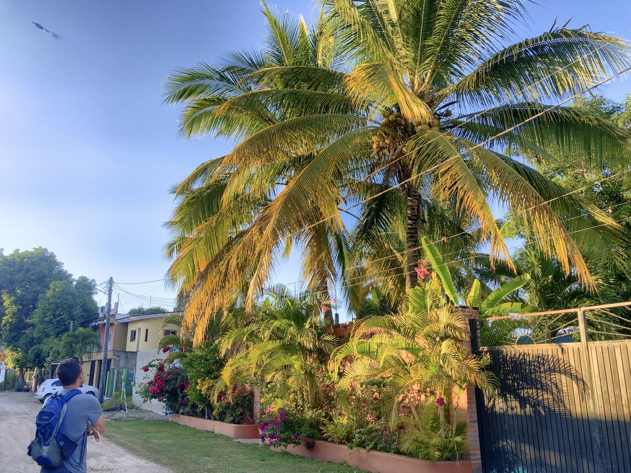 An Unexpected Paradise in Lo De Marcos, Mexico - Explorer Genes