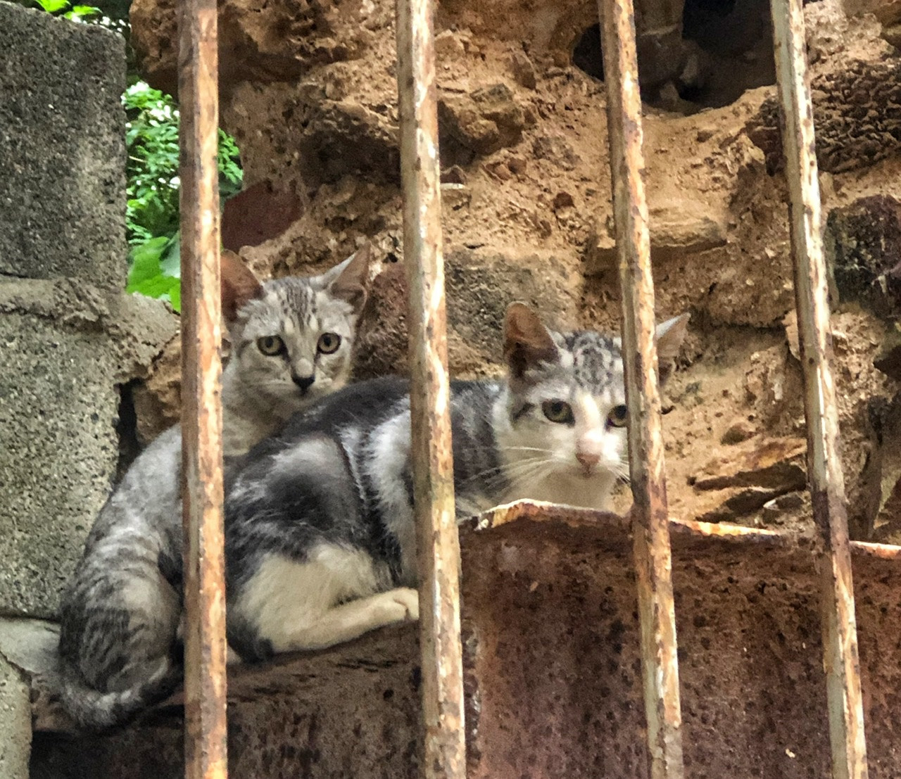Two Days in Panama City, Panama - Explorer Genes