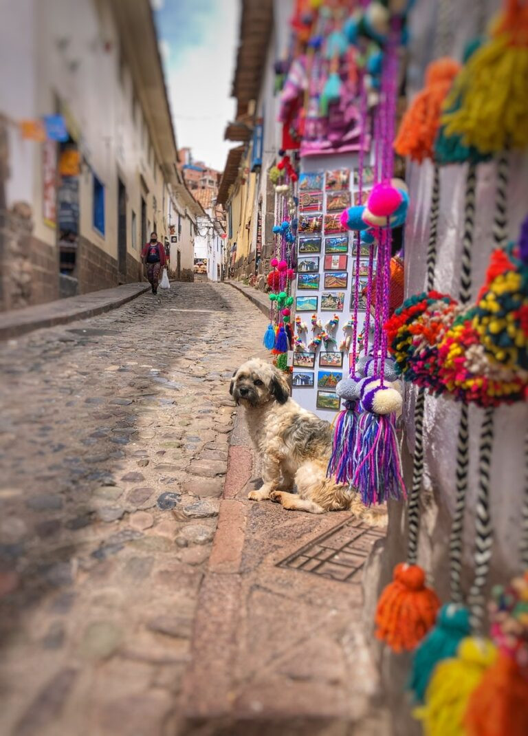 From Incas to Spaniards in Colonial Cusco, Peru - Explorer Genes