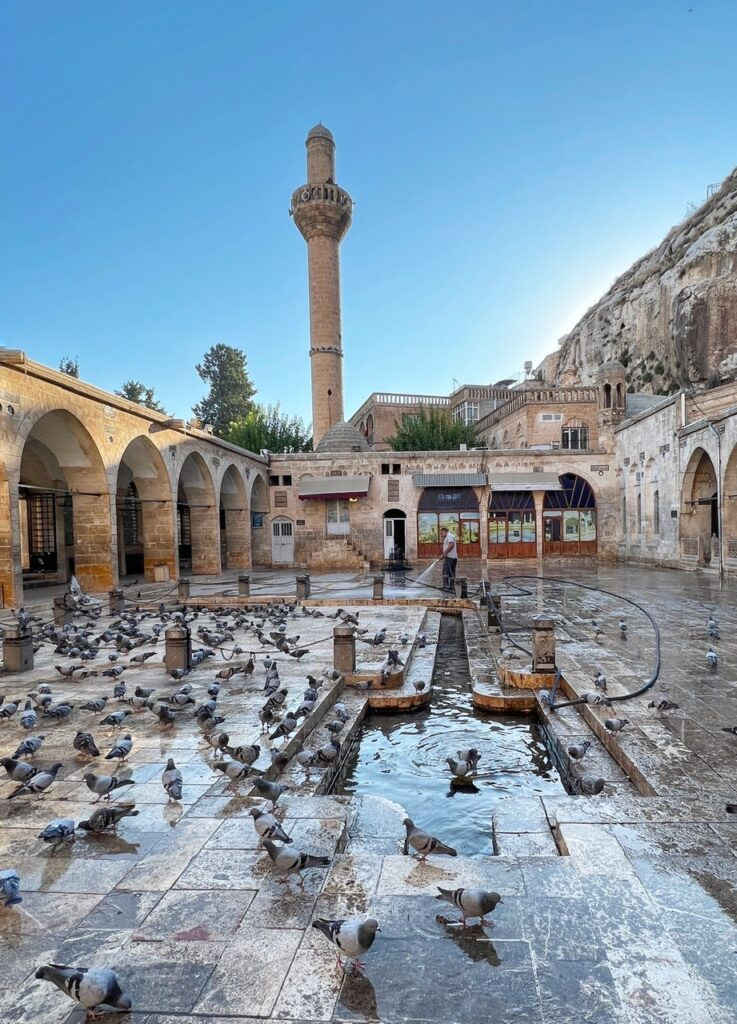 The History Book of Sanliurfa, Turkiye - Explorer Genes