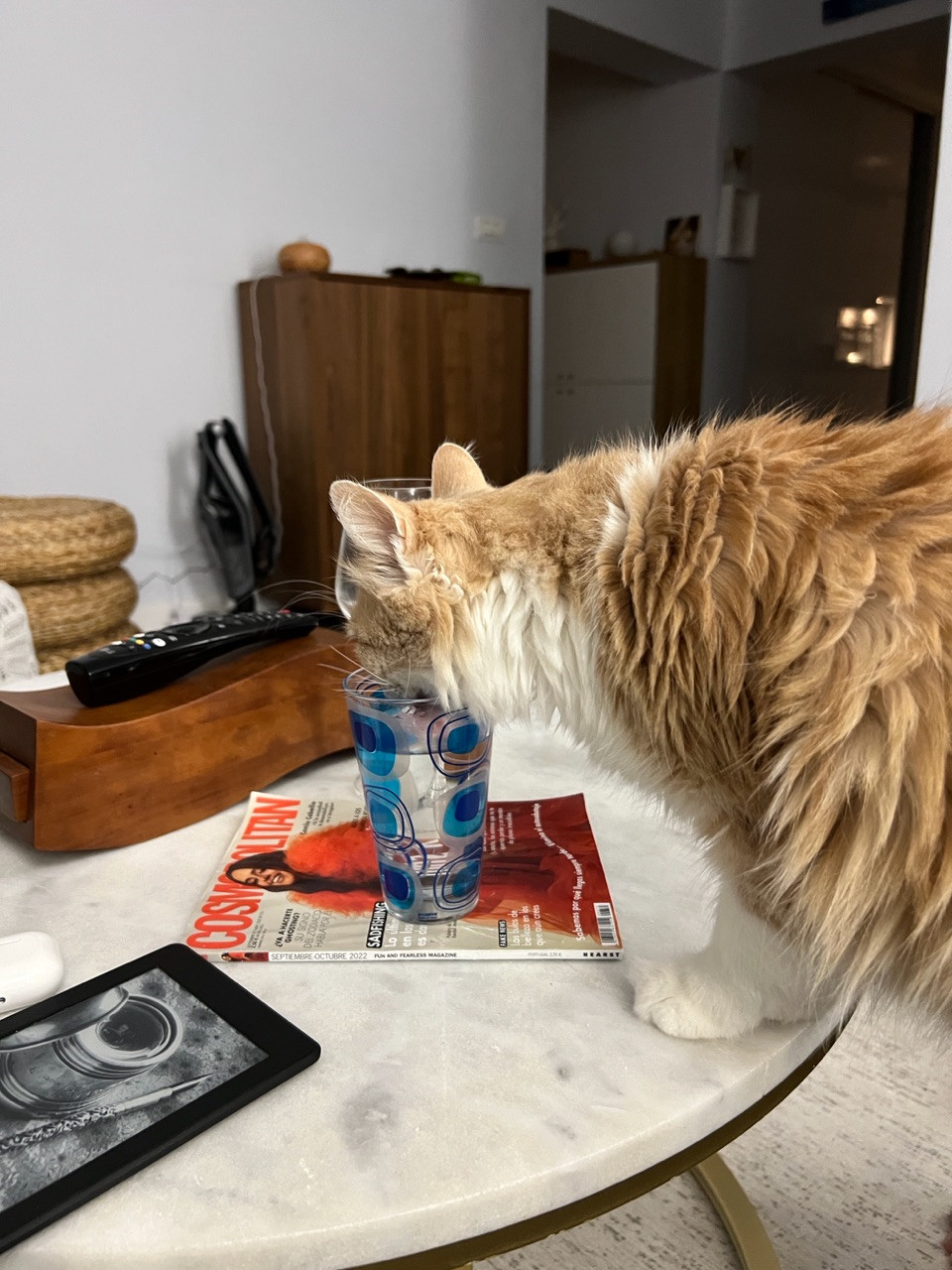 A Dream Sit in Constanta, Romania - Explorer Genes